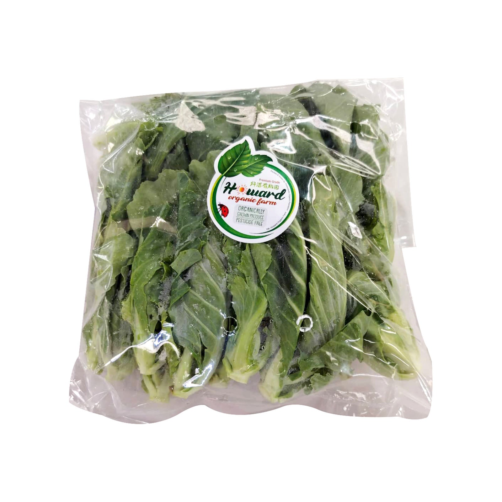 HW Organic Cabbage Shoot (Malaysia) 250g – Jaya Grocer | The Starling
