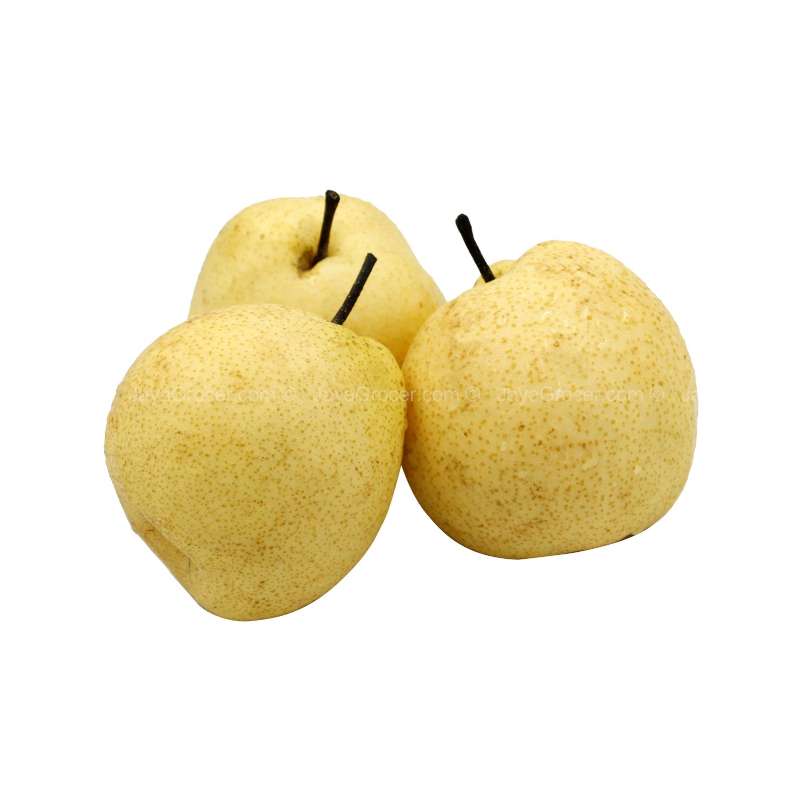 Gong Pear (China) 500g – Jaya Grocer | The Starling