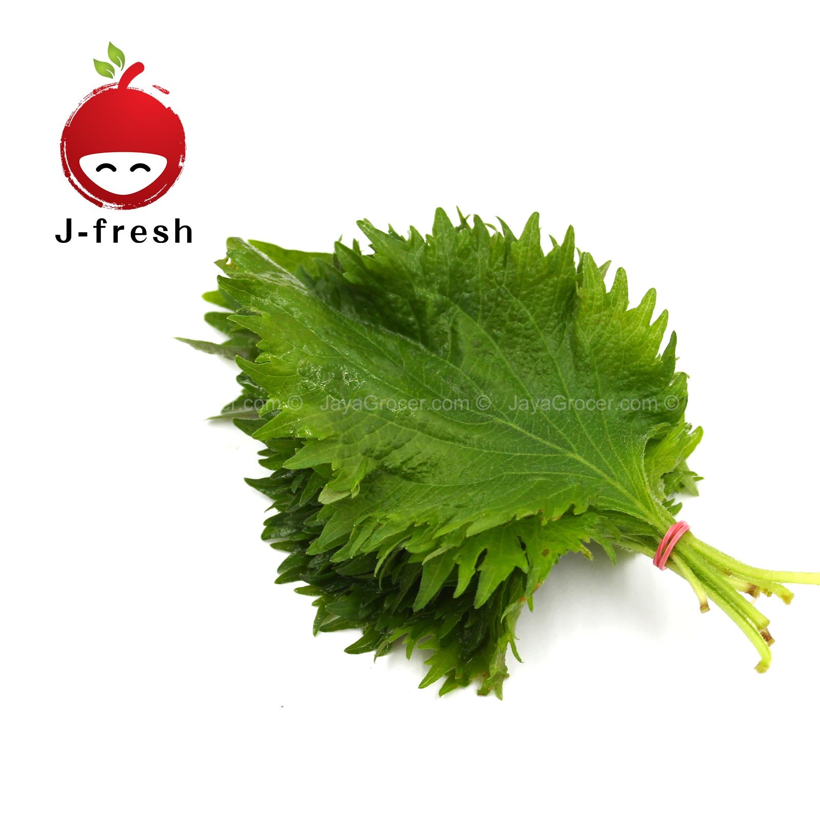 JMG Perilla (Ohba Leaf) 10pcs/pack – Jaya Grocer | The Starling
